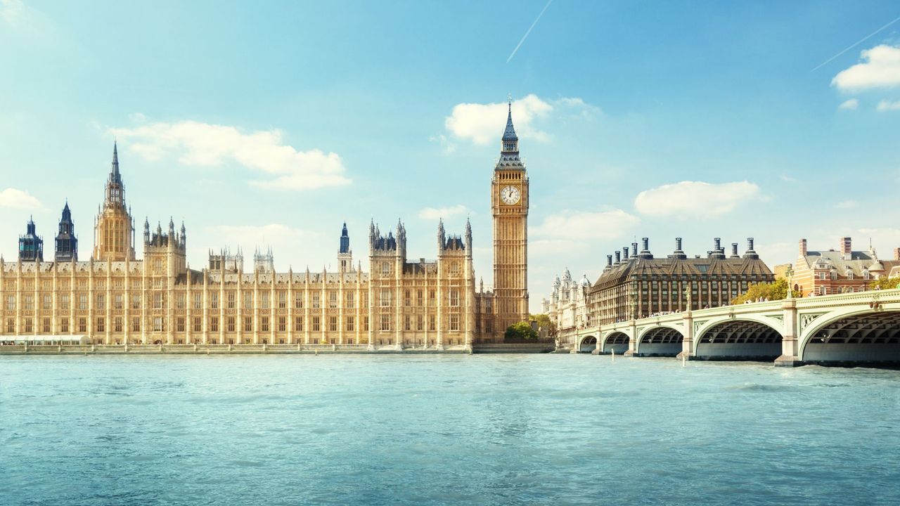 Verve Risk Services creates new captive product | Captive International