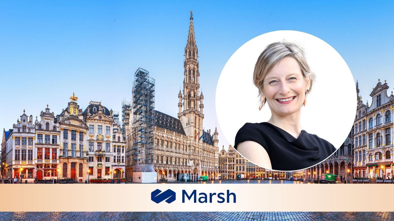 Marsh appoints former FERMA CEO | Captive International